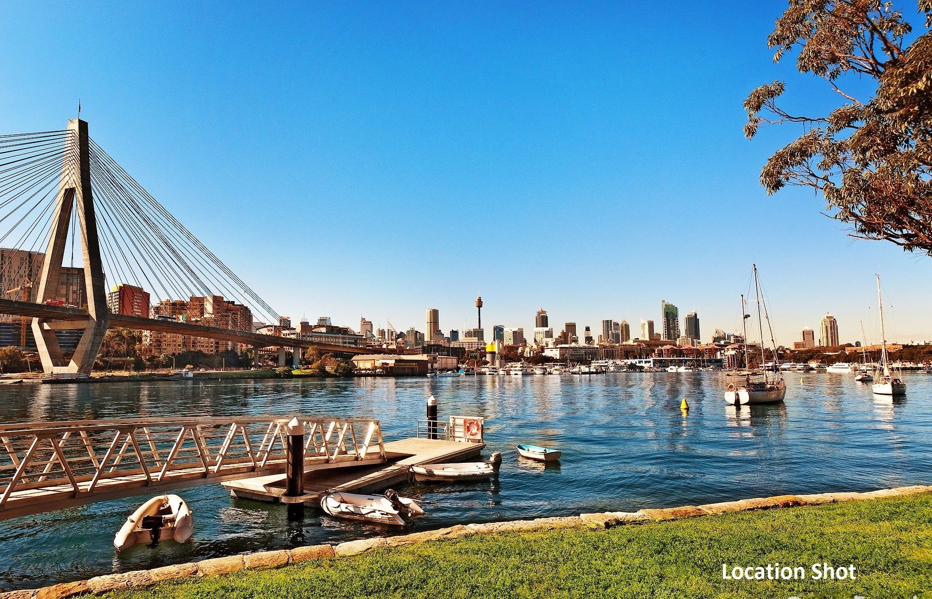 Real Estate For Lease - 14 Cook Street - Glebe , NSW