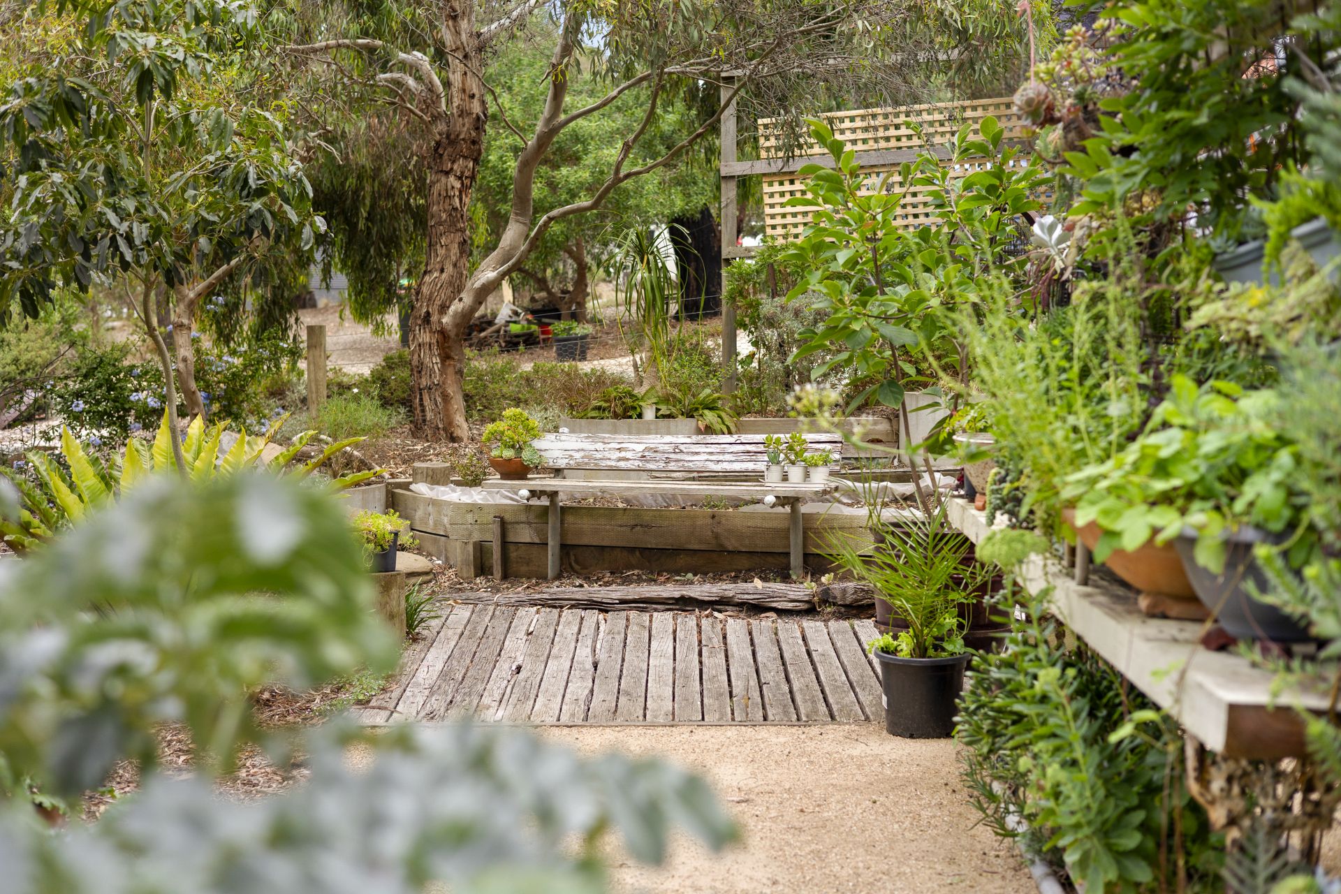 17 Narani Way, FAIRHAVEN | Great Ocean Properties
