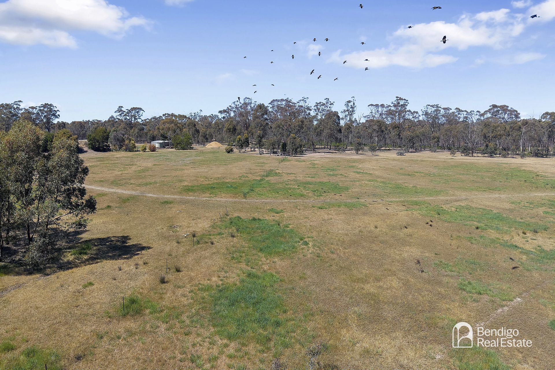 120 Emerald Hill Drive, Longlea | Bendigo Real Estate