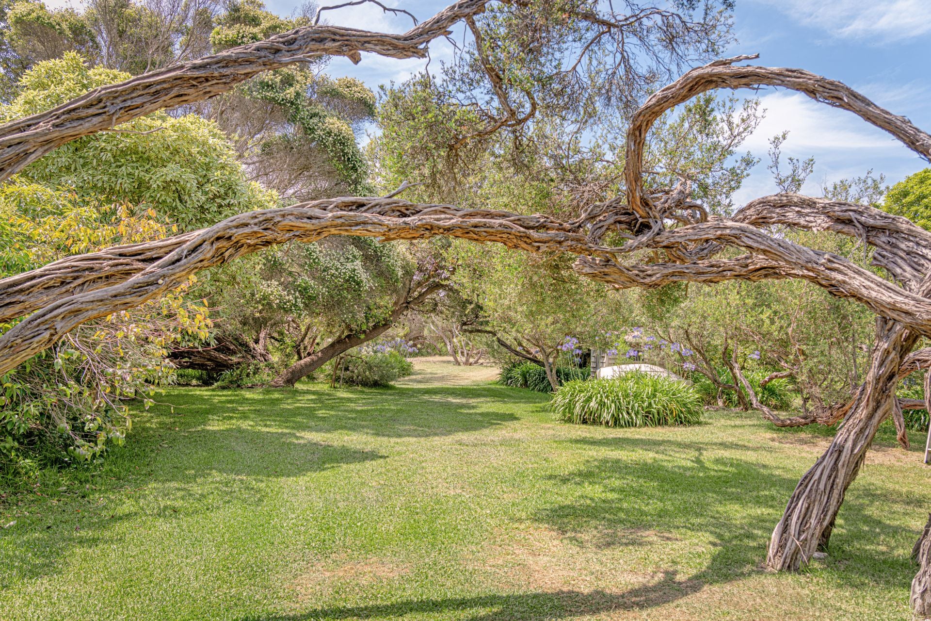 Kay & Burton | 4 McColls Way, Portsea