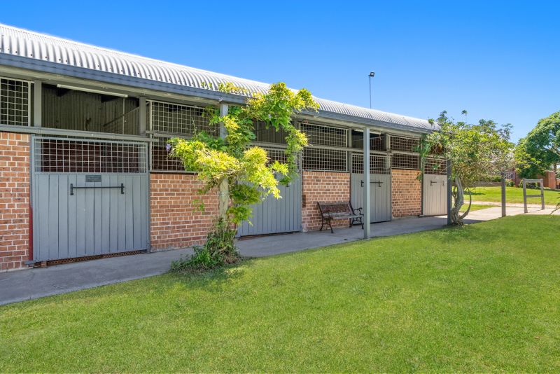 Real Estate For Sale - 319 Jilliby Road - Jilliby , NSW