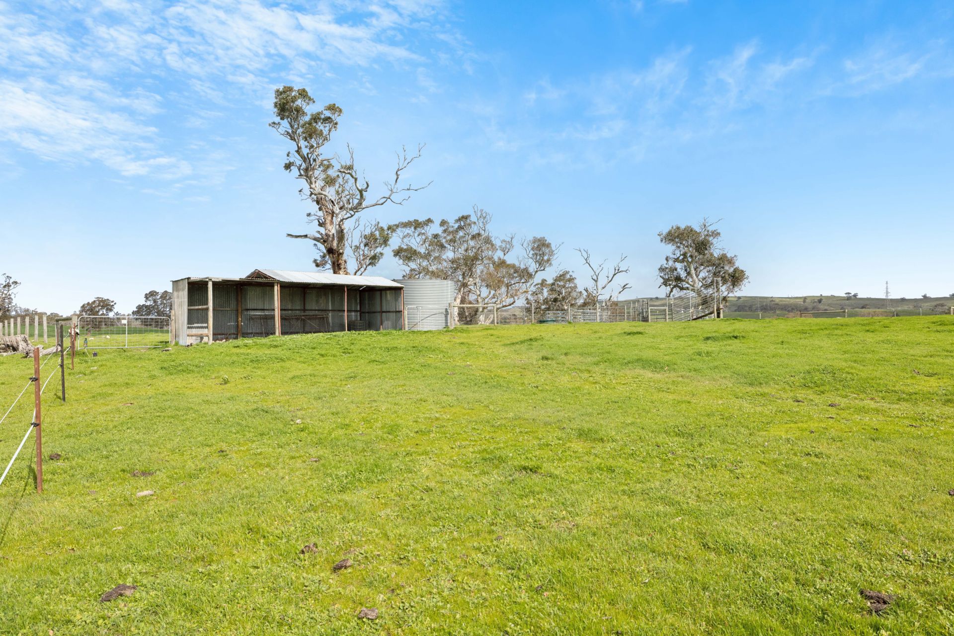 951 Black Heath Road, Tungkillo | Adcock Real Estate