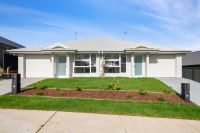 Home - SPG Asset Management